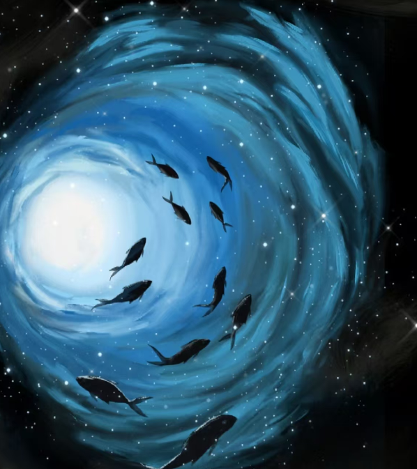 bluecms审计 - bxhhf